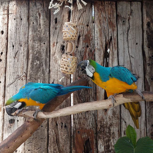 Affordable Fun Activities for the Whole Family in Cape Town - Cape Tourism