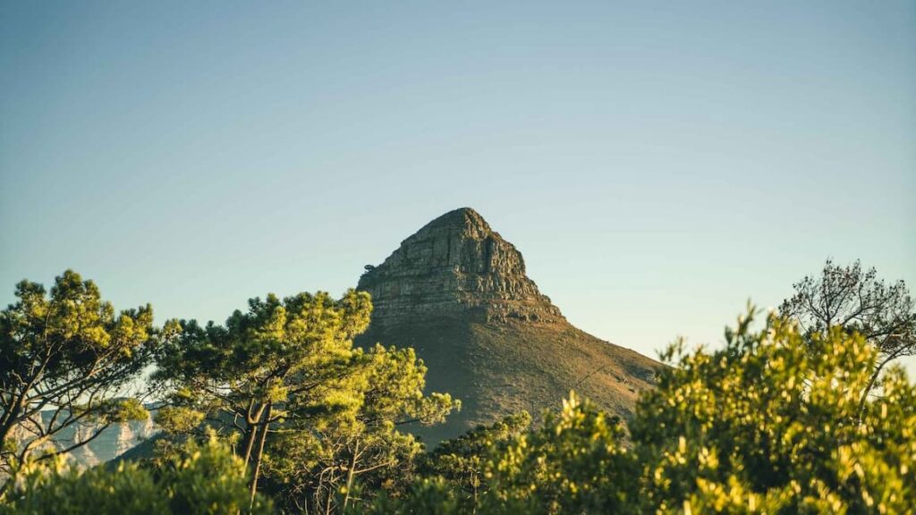 The Ultimate Cape Town Bucket List: Top 10 Things to Do - Cape Tourism