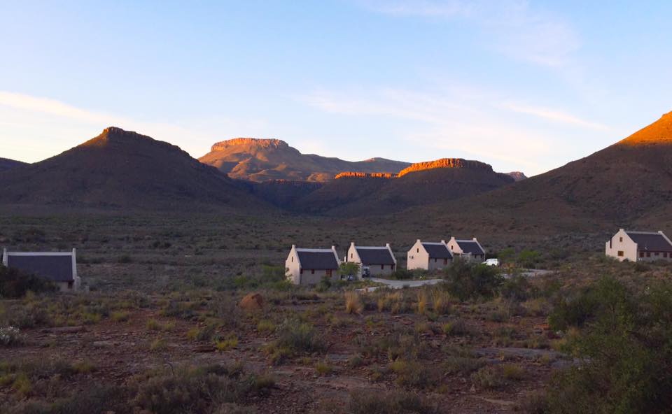 Karoo National Park - A Wildlife Lover's Dream - Cape Tourism