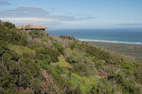 Top 15 Nature Reserves In and Around Cape Town - Cape Tourism