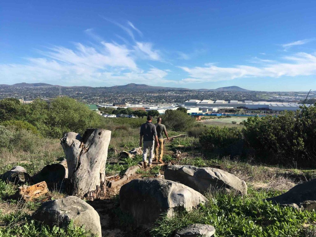 Top 15 Nature Reserves In and Around Cape Town - Cape Tourism