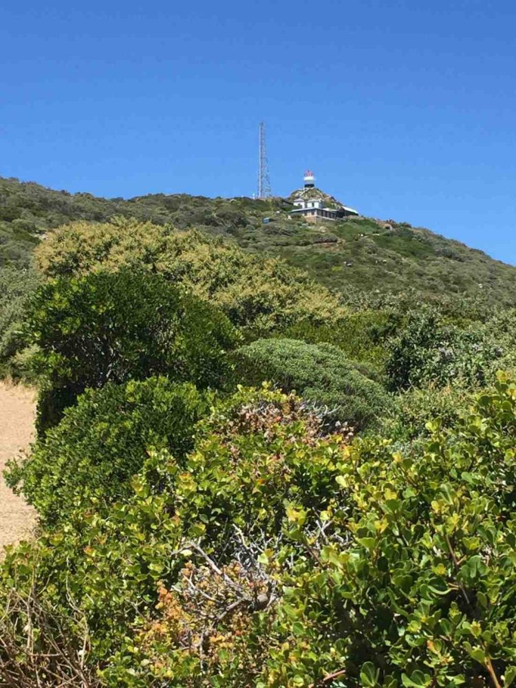 Top 15 Nature Reserves In and Around Cape Town - Cape Tourism