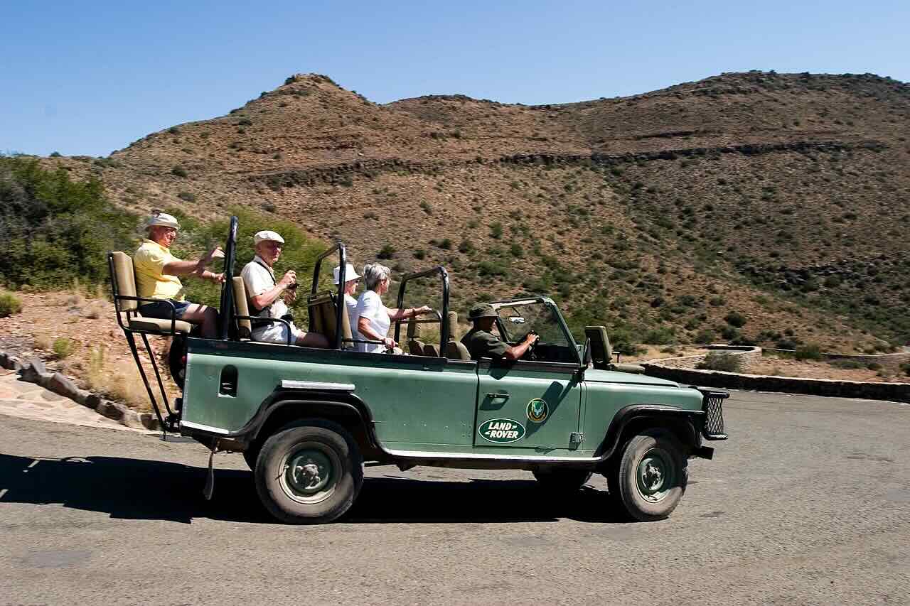 Karoo National Park - A Wildlife Lover's Dream - Cape Tourism