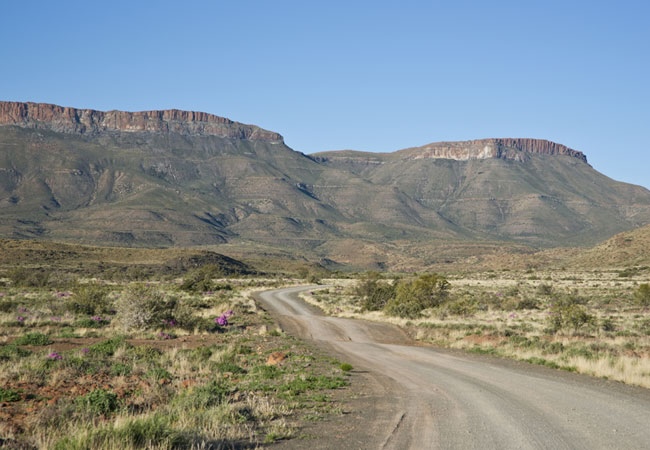 Karoo National Park - A Wildlife Lover's Dream - Cape Tourism
