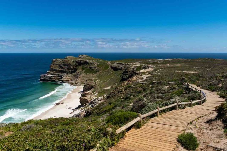 The Cape Peninsula Drive - Everything You Need To Know - Cape Tourism