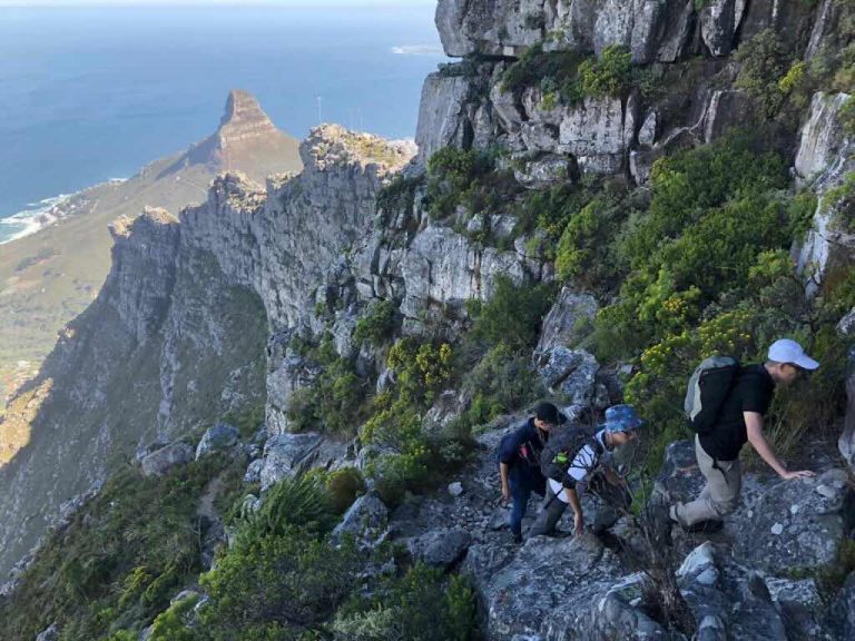 Which Table Mountain Hike is Right for You? - Cape Tourism