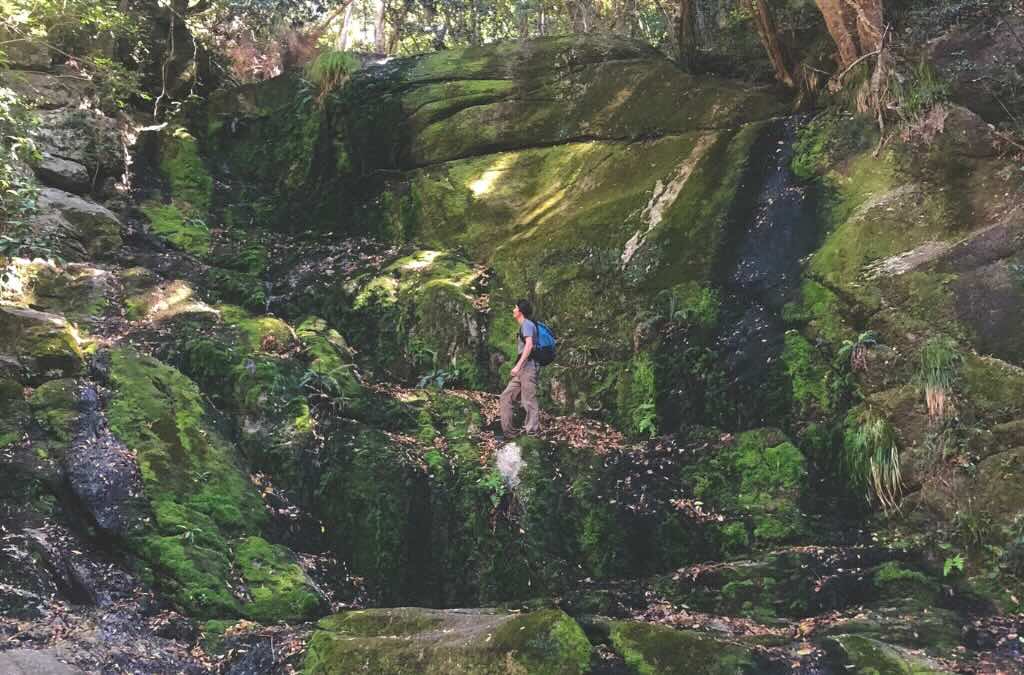 Which Table Mountain Hike is Right for You? - Cape Tourism