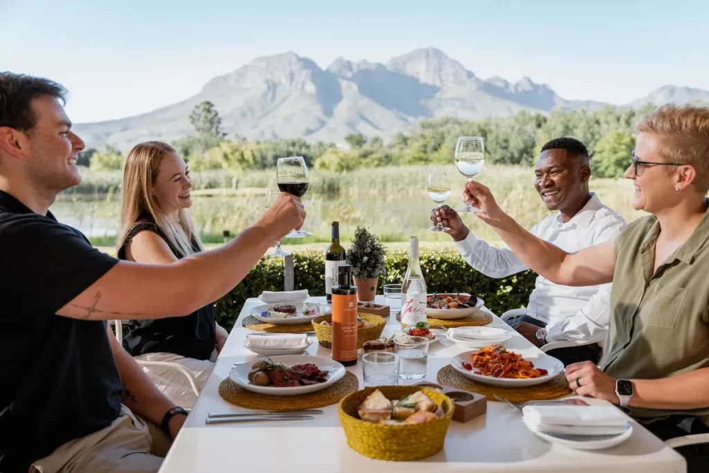 Cape Town Wine Farms You Can't Miss - Cape Tourism