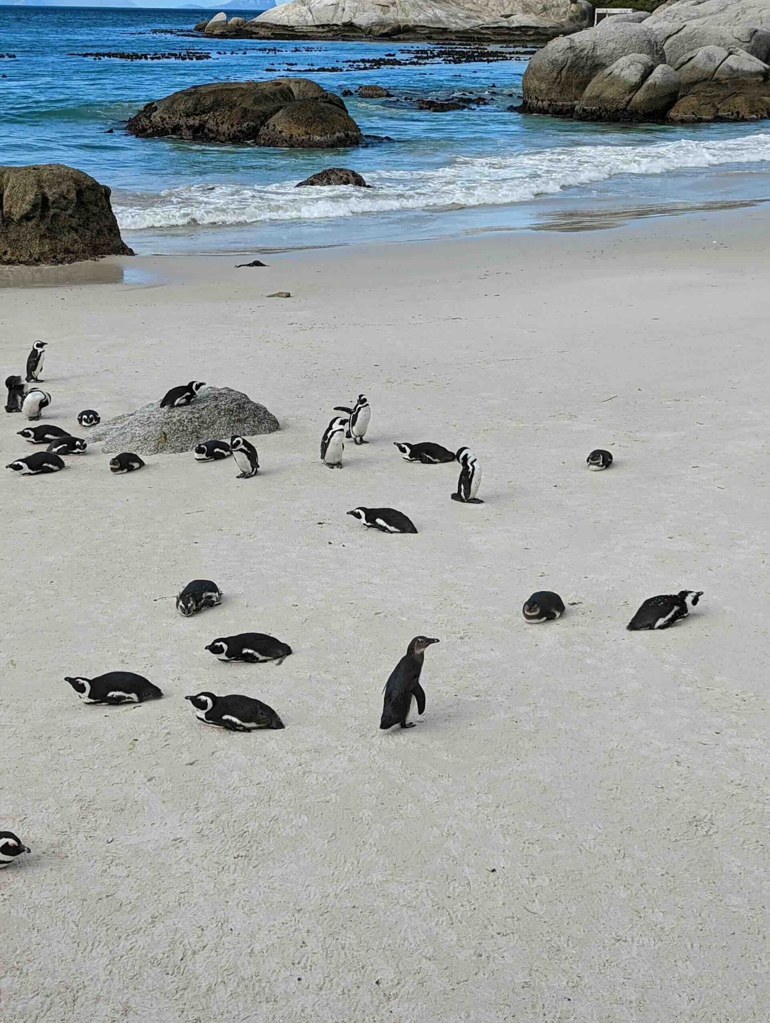 Seaforth Beach Cape Town Hidden Gem - Cape Tourism