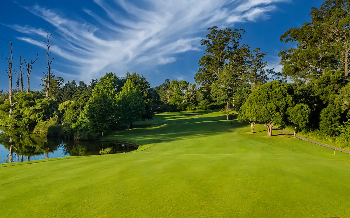 Garden Route Golf Clubs: Scenic Fairways, Coastal Views and ...